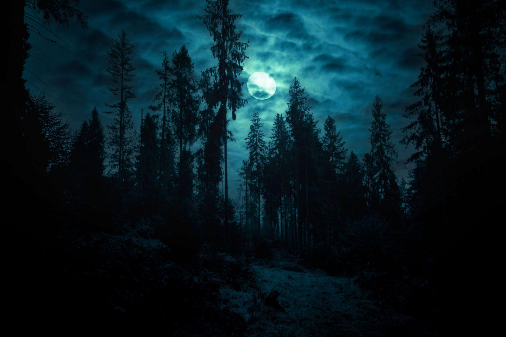 7 spooky personal finance mistakes business owners and professionals ...
